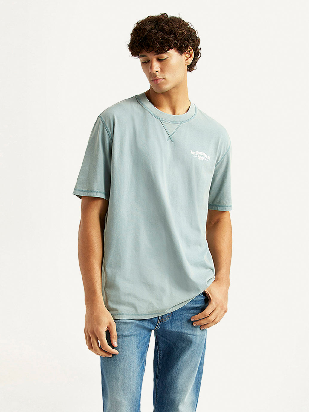 Men's Brand Logo Light Blue Crew Neck T-shirt – Levis India Store
